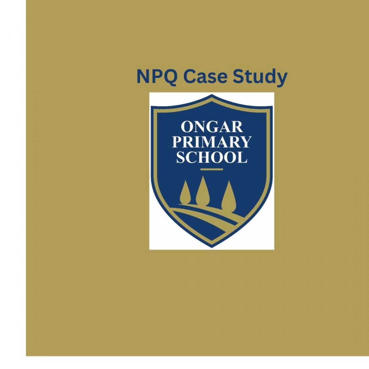 Saffron Teaching School Hub - Making NPQs work for you - a school story